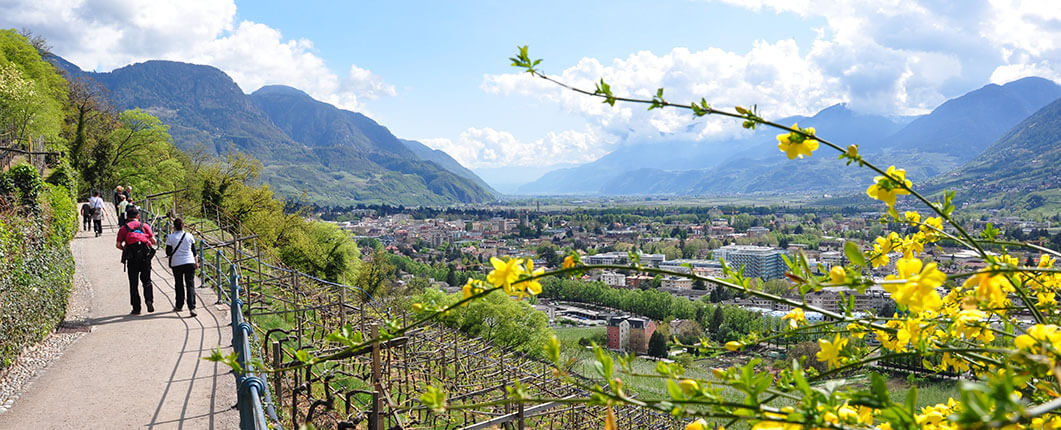 Urlaub in Südtirol - Die besten Urlaubstipps und Unterkünfte von ...
