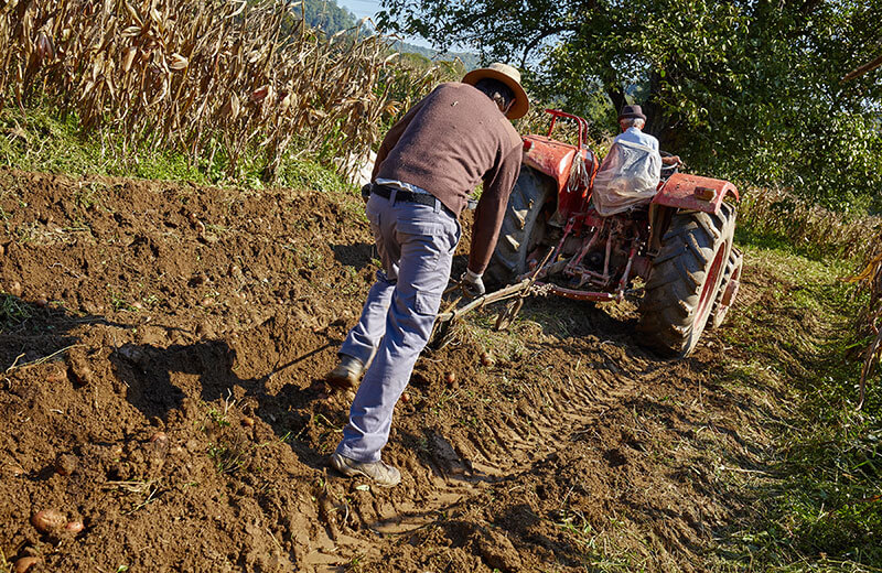 Prodotti del contadino | VIVOAltoAdige